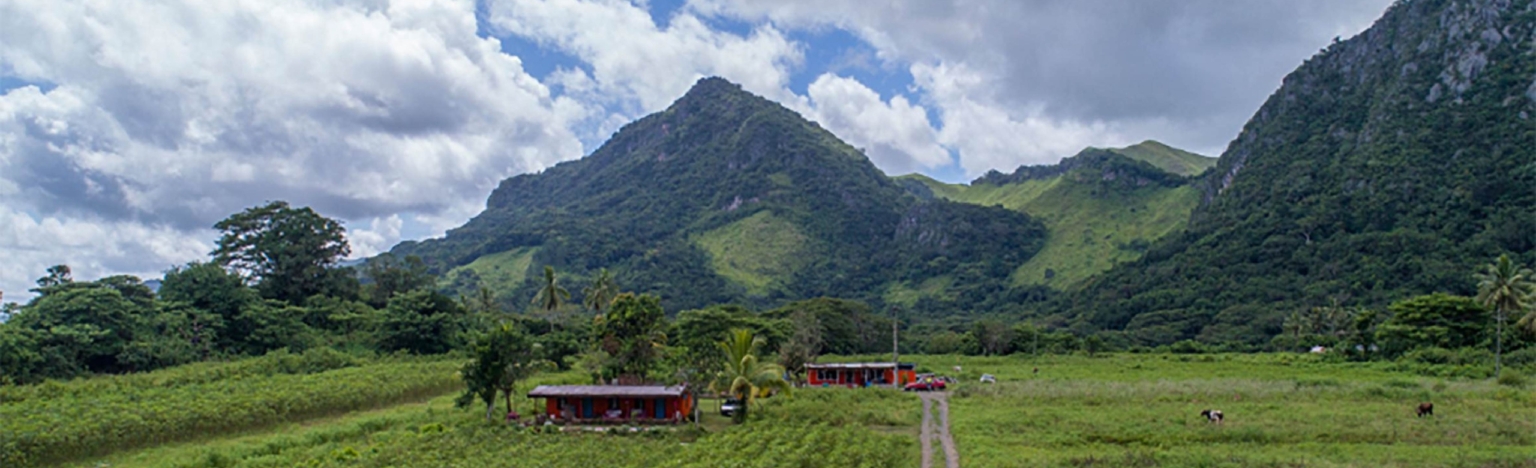 Home – EMBASSY OF THE REPUBLIC OF FIJI IN JAPAN – 駐日フィジー共和国大使館